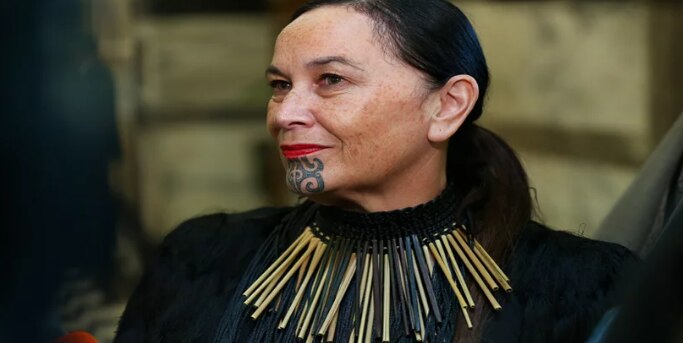 Controversial bill tries to re-define principles of Te Tiriti o ...