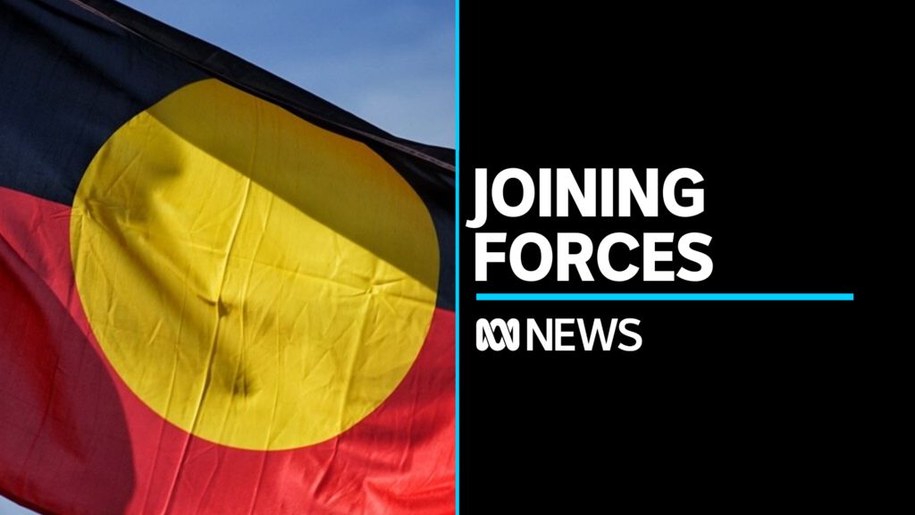 NT land councils share support for Voice to Parliament - ABC News