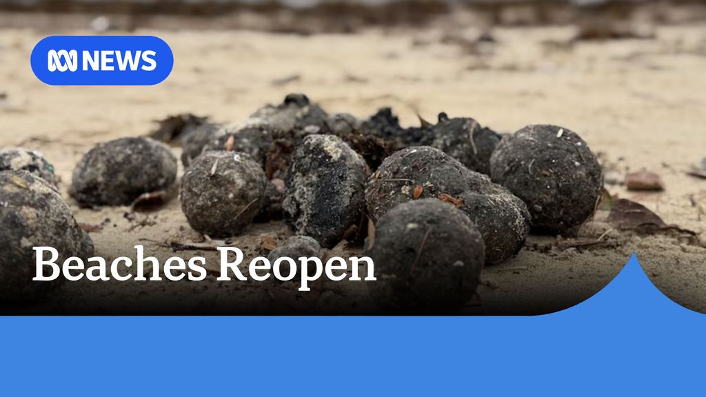 Sydney beaches reopen following days of tar balls washing ashore - ABC News
