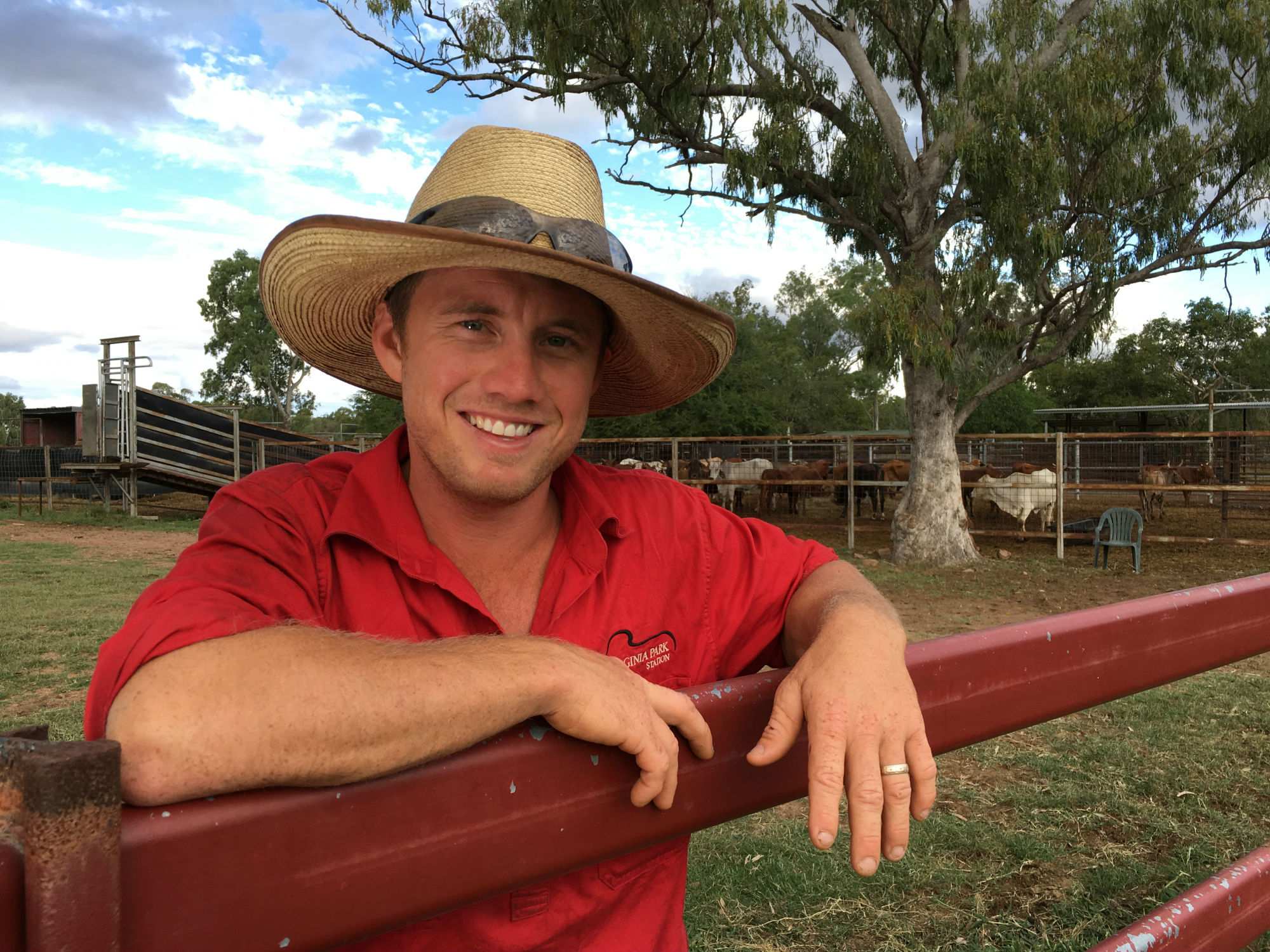 Beef price rise to continue as graziers gamble to rebuild cattle herds ...