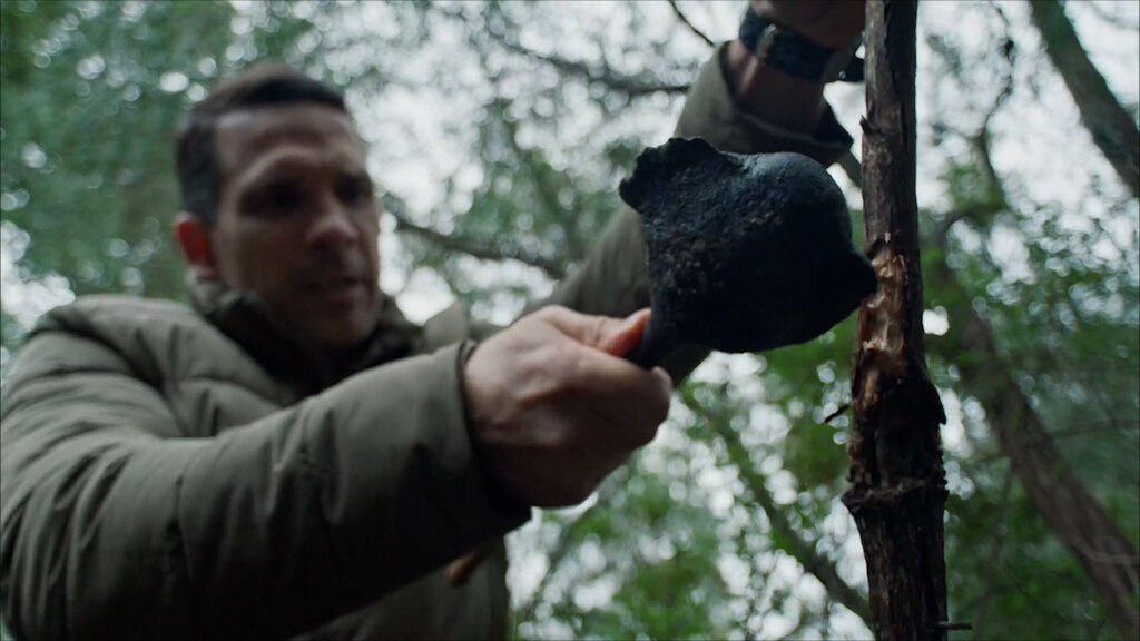 First Weapons: Kodj - ABC Education