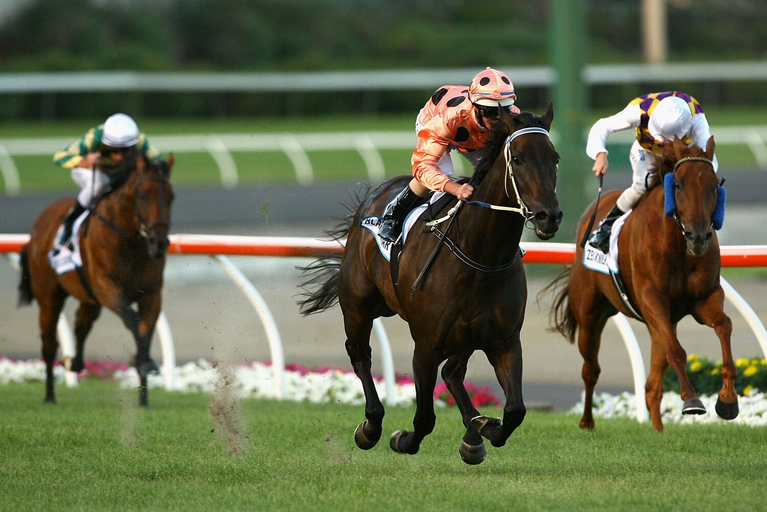 Black Caviar brings run to 17 - ABC News