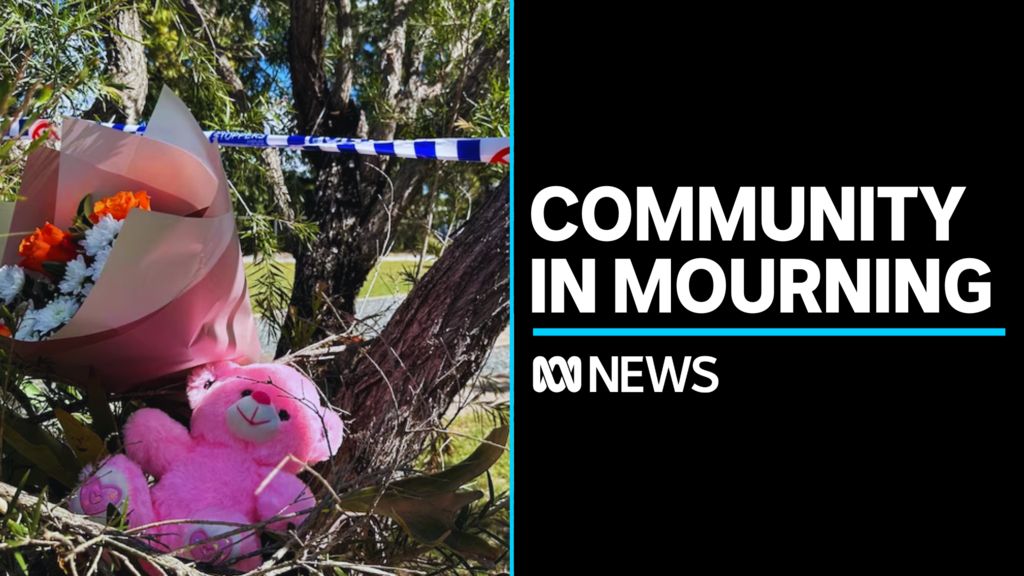 Community remembers Tayla Cox and her newborn baby - ABC News