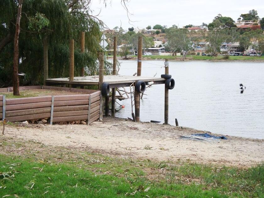 International experts view lower Murray plight - ABC News