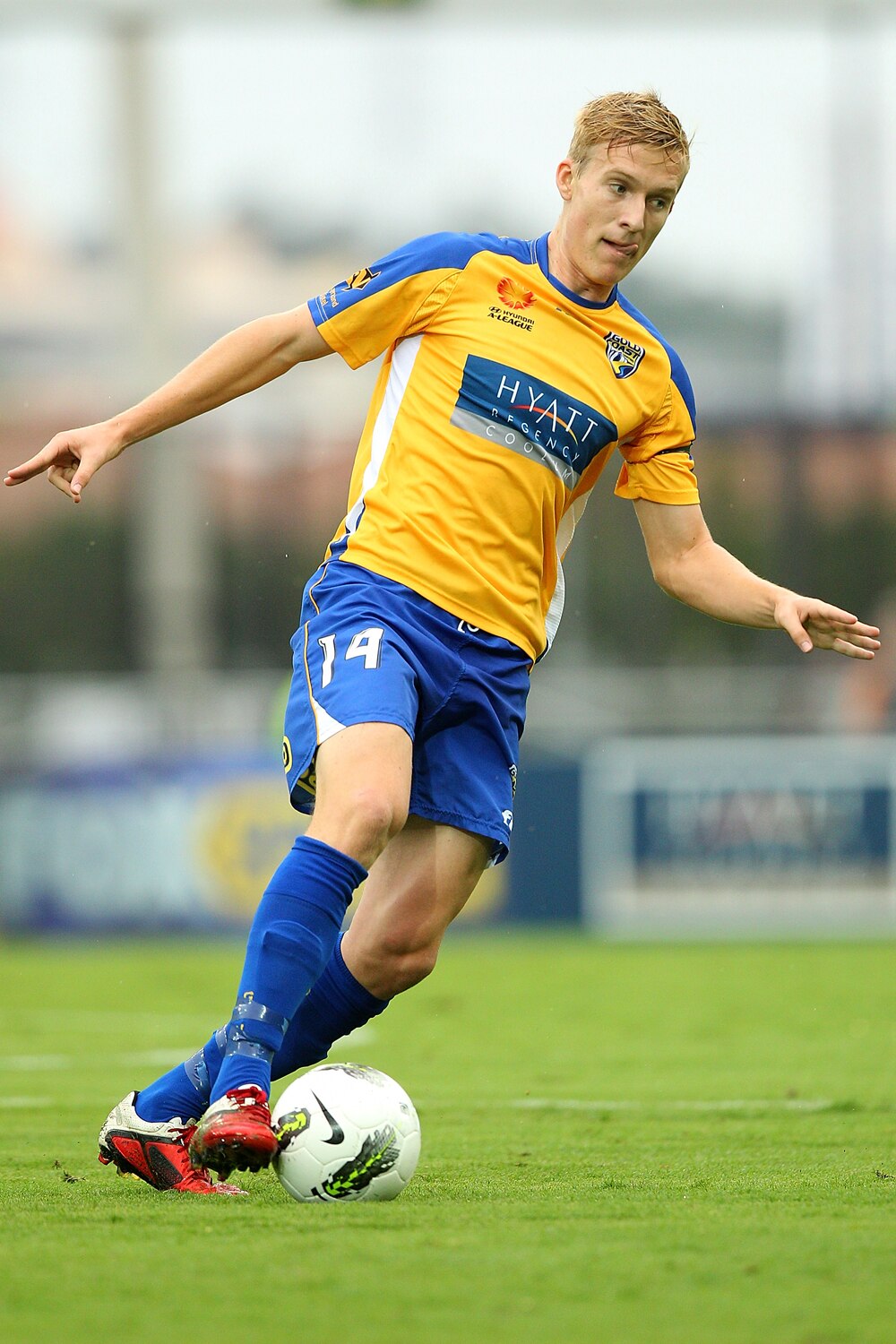 Halloran signs on at the Roar - ABC News