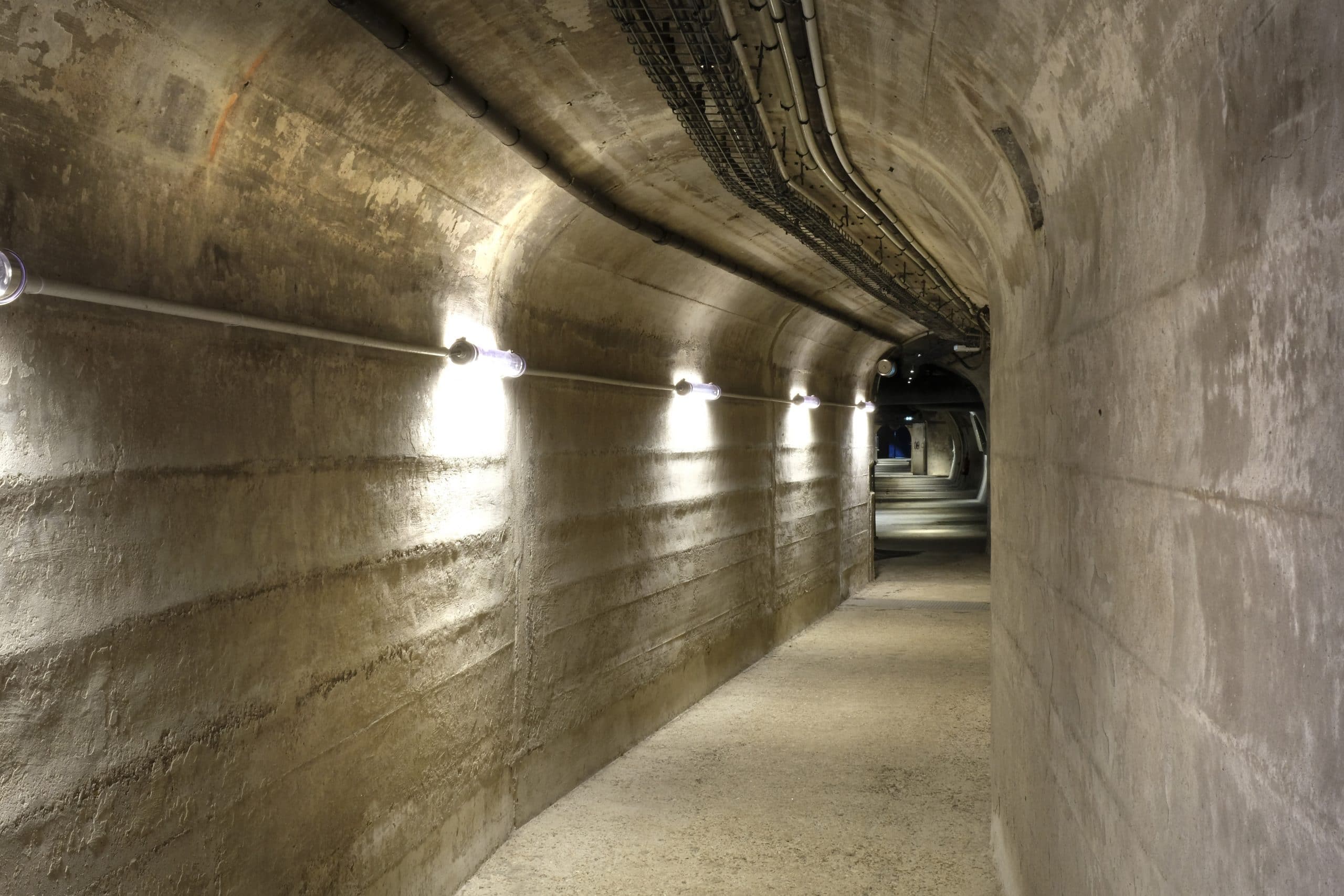 Interview Special - Gordon Bray: The Immortals of Australian Rugby ...