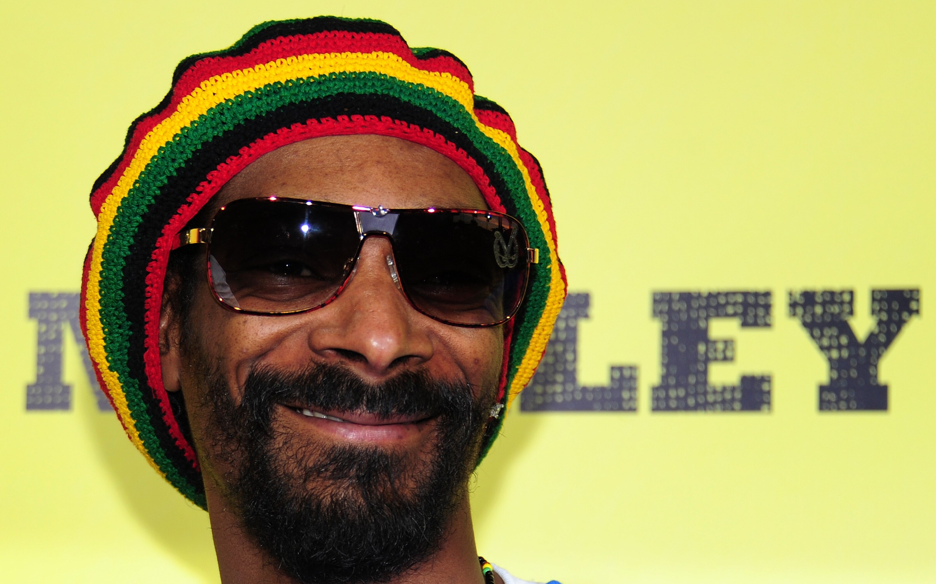 Snoop Lion among rappers donating to family of 6yo girl killed in 'gang ...