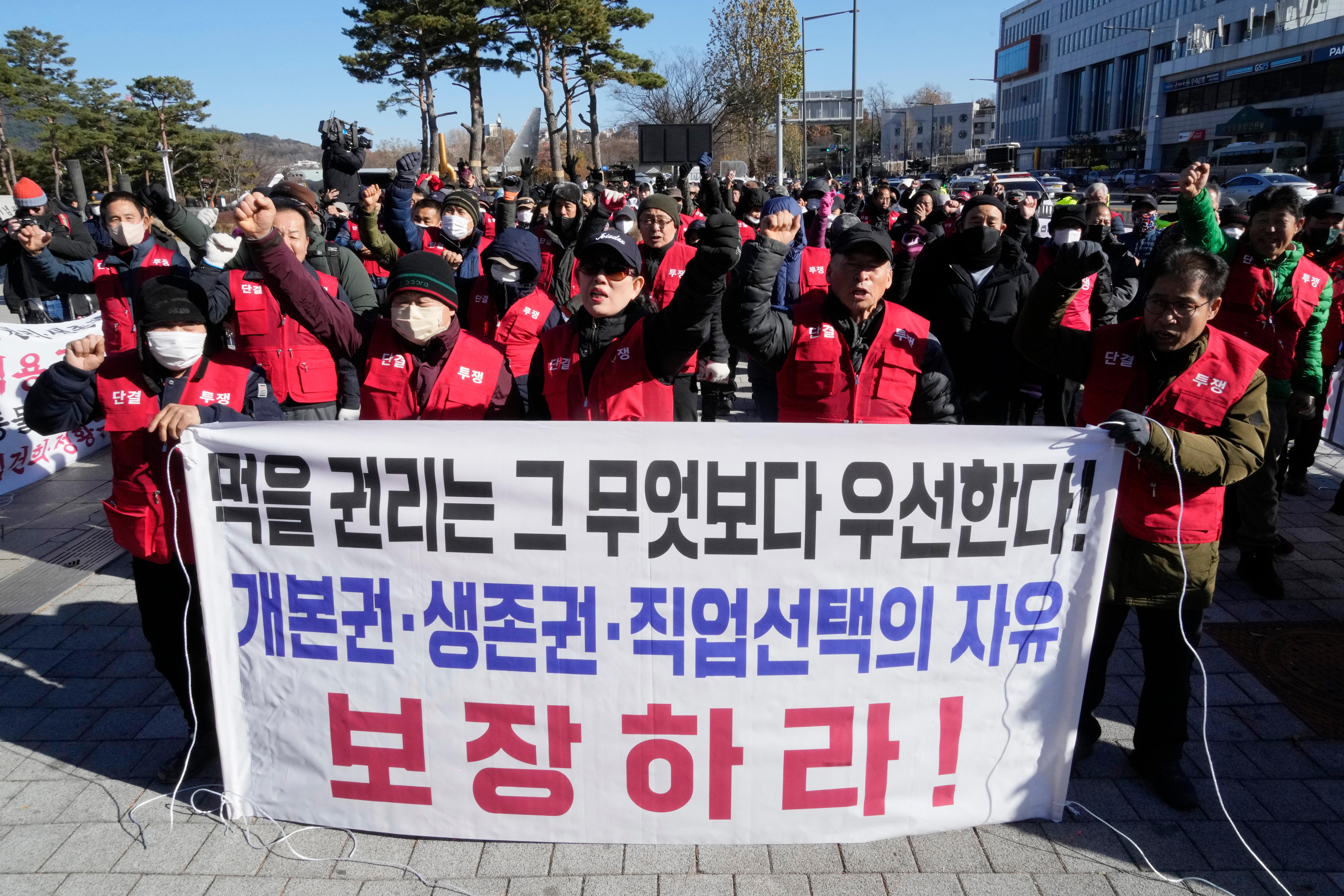 South Korean farmers protest proposed anti-dog meat legislation - ABC News