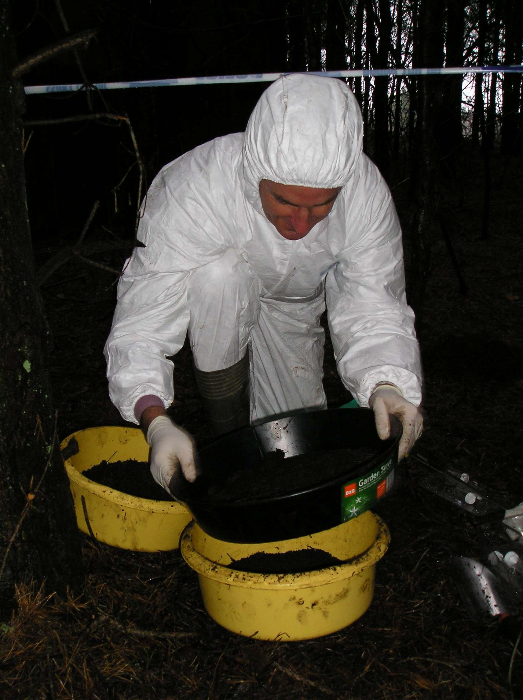 Insects a biological clock following a murder - ABC listen