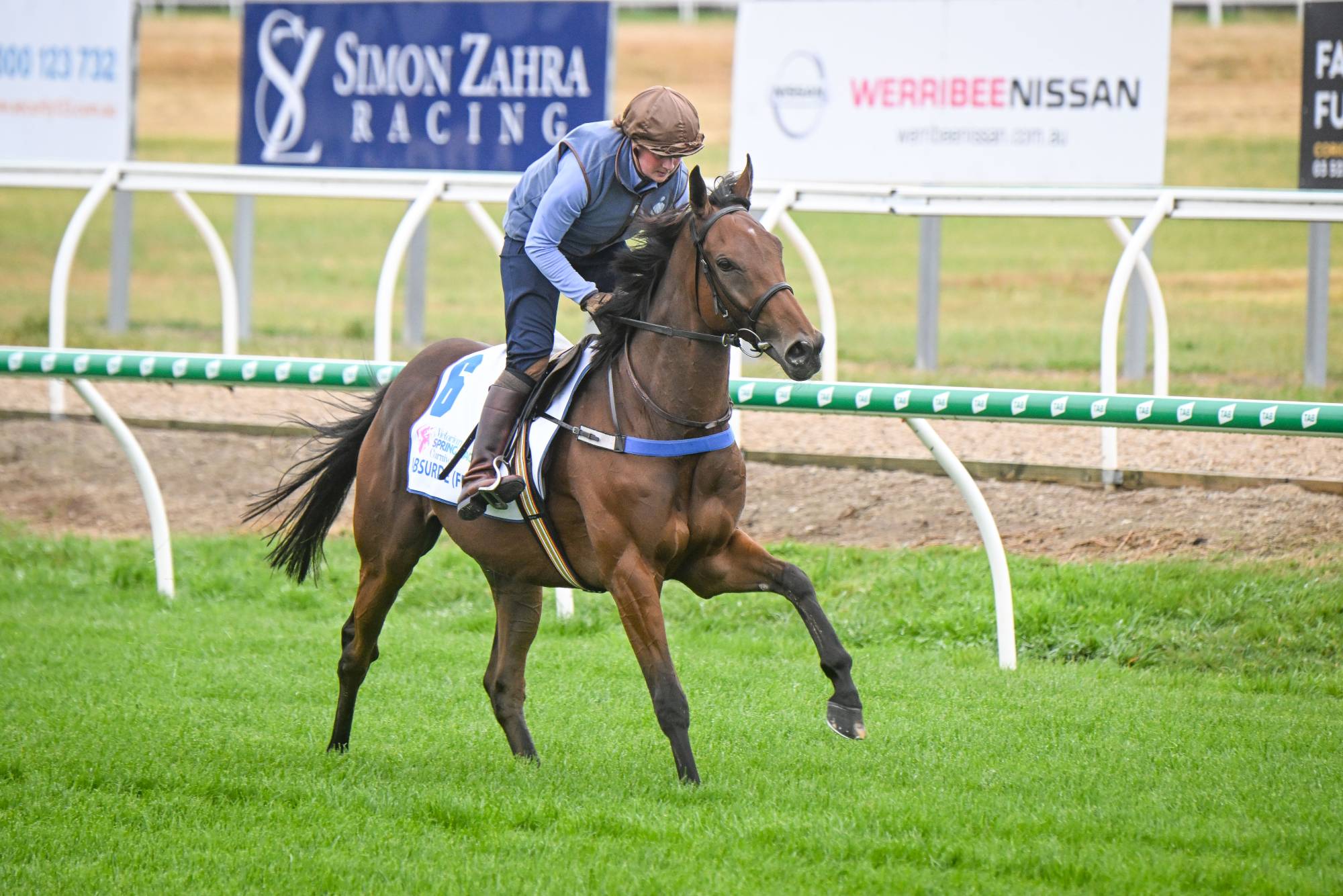 Melbourne Cup 2023 field, horses, form guide and finishing order - ABC News