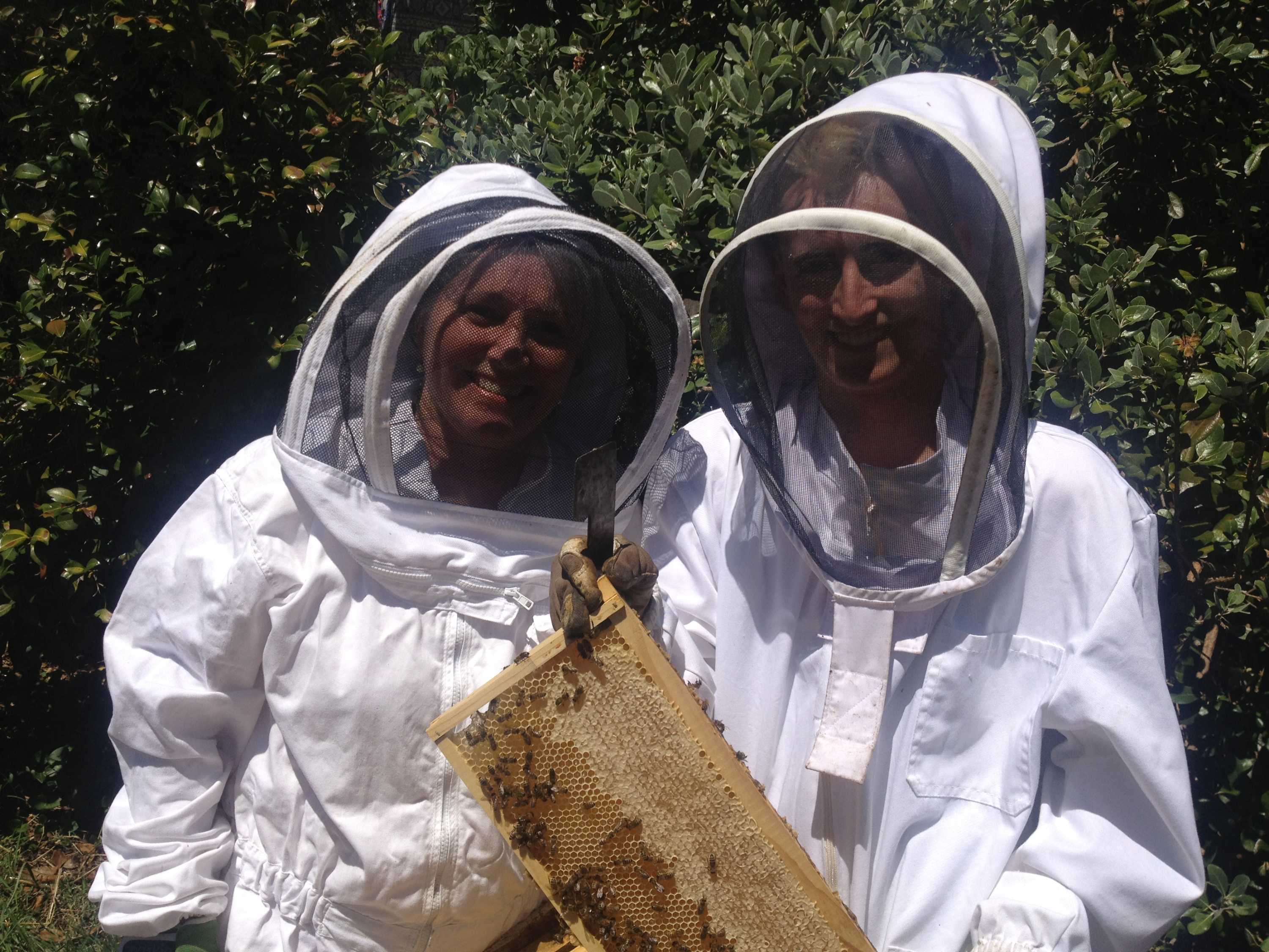 Australia's youngest urban commercial beekeeper - ABC News