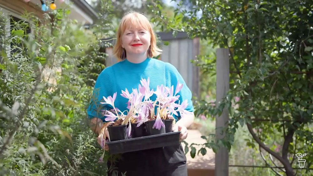 My Garden Path | Jac Semmler - Gardening Australia