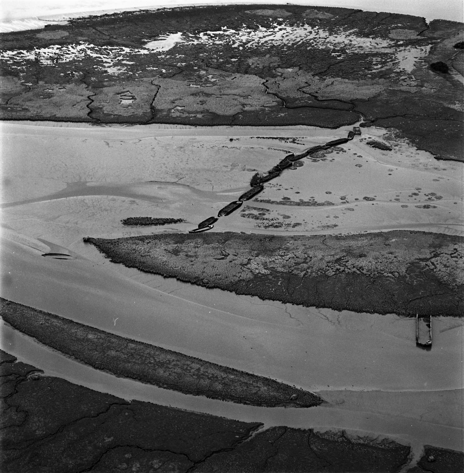 Tamar River is home to a 'ship graveyard', but these vessels were ...