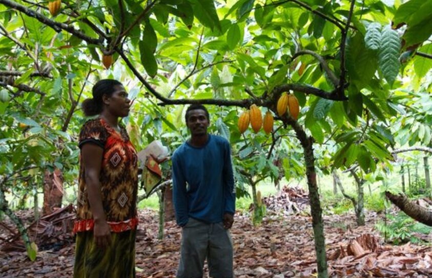 Wantok Program: Fonde 8 - ABC Pacific