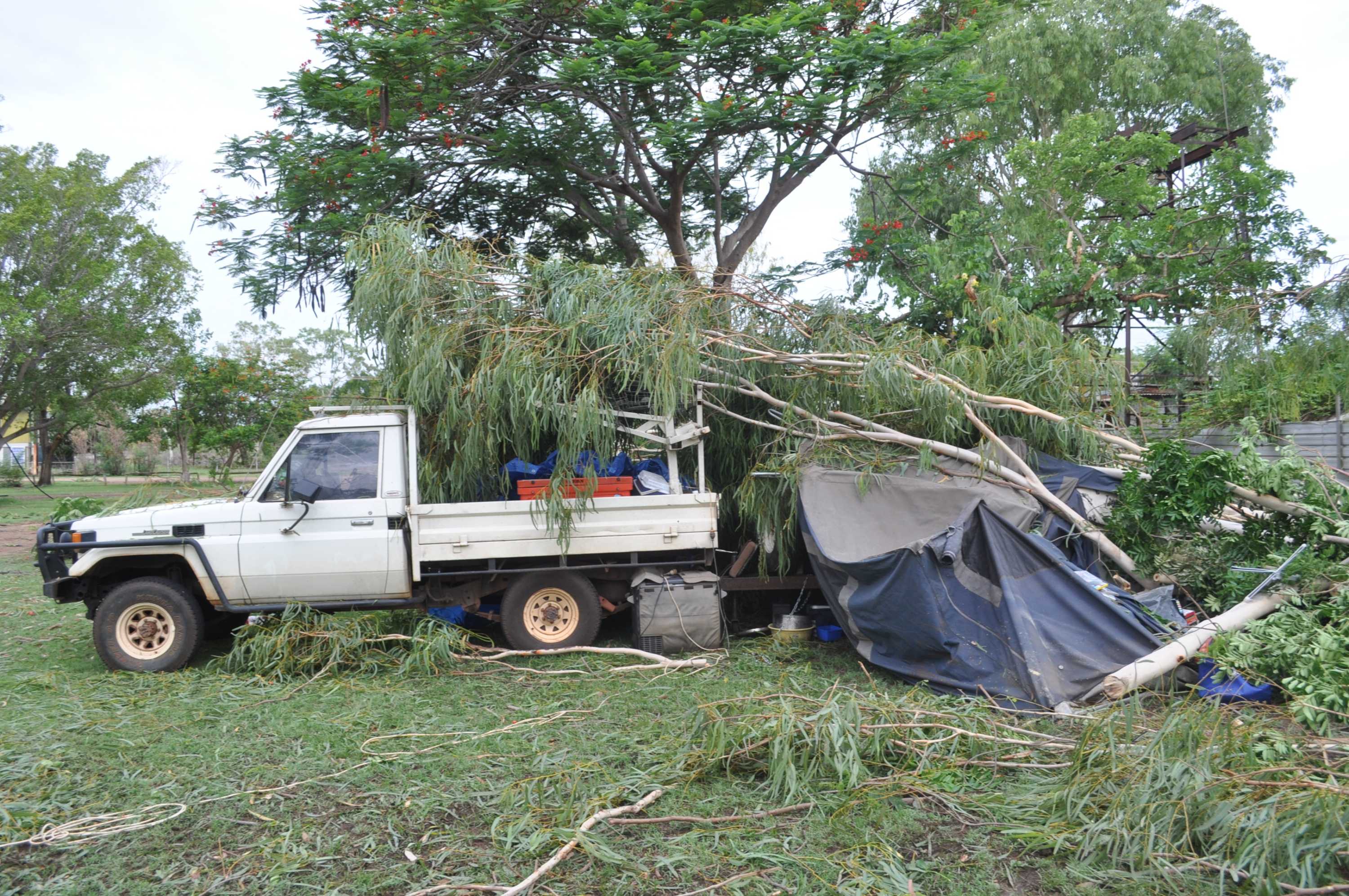 Lucky escape for campers as tree crashes down - ABC News