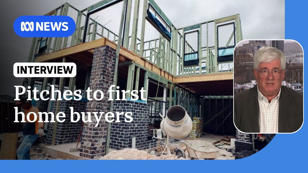 Economist Saul Eslake says both Labor and the Coalition's housing ...