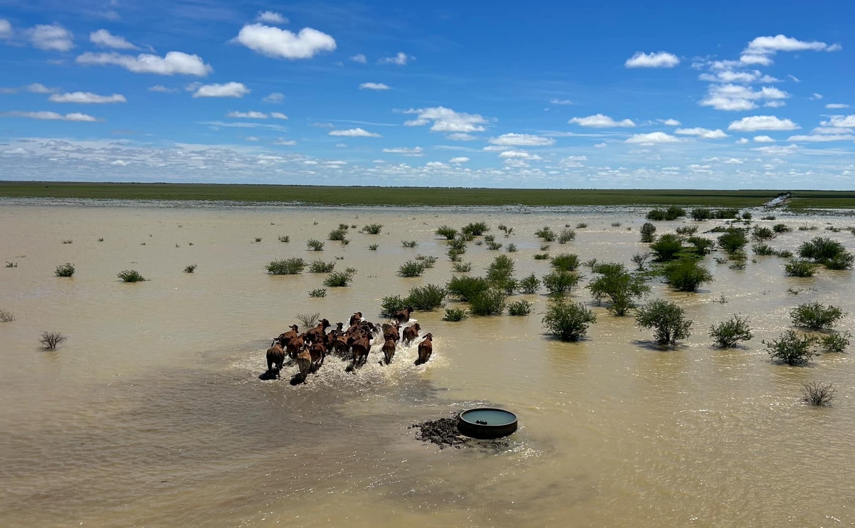 Towns still isolated amid flooding, as Far North Queensland braces for ...