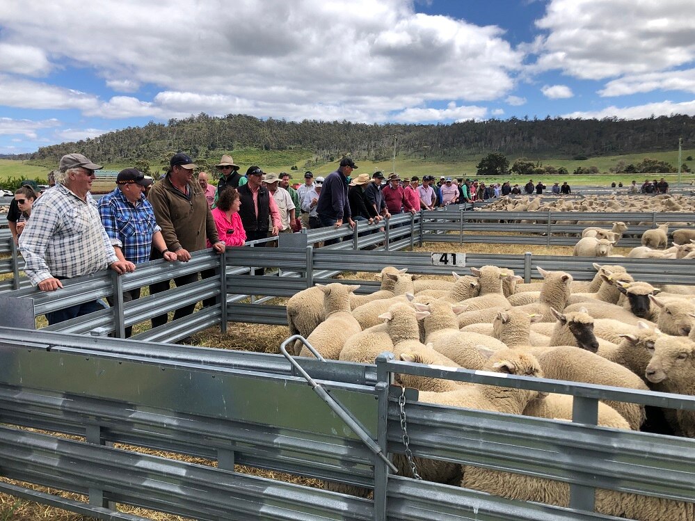Tasmanian Country Hour - ABC listen