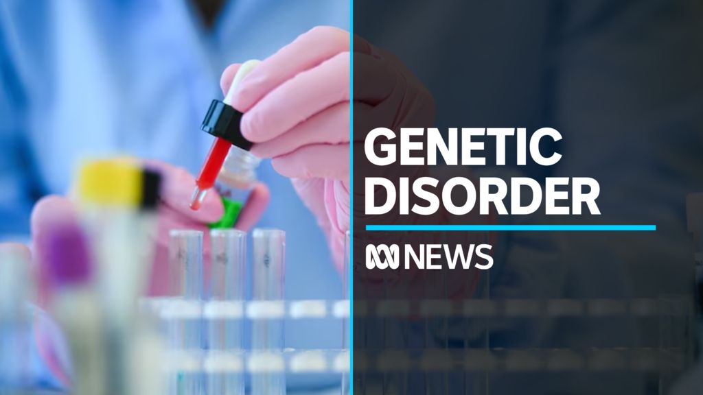 How will coastal habitats survive climate change? - ABC News