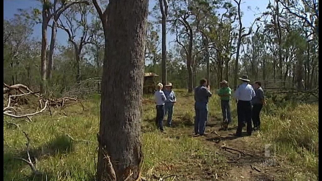 Farmers still surveying the damage done by Yasi - ABC News