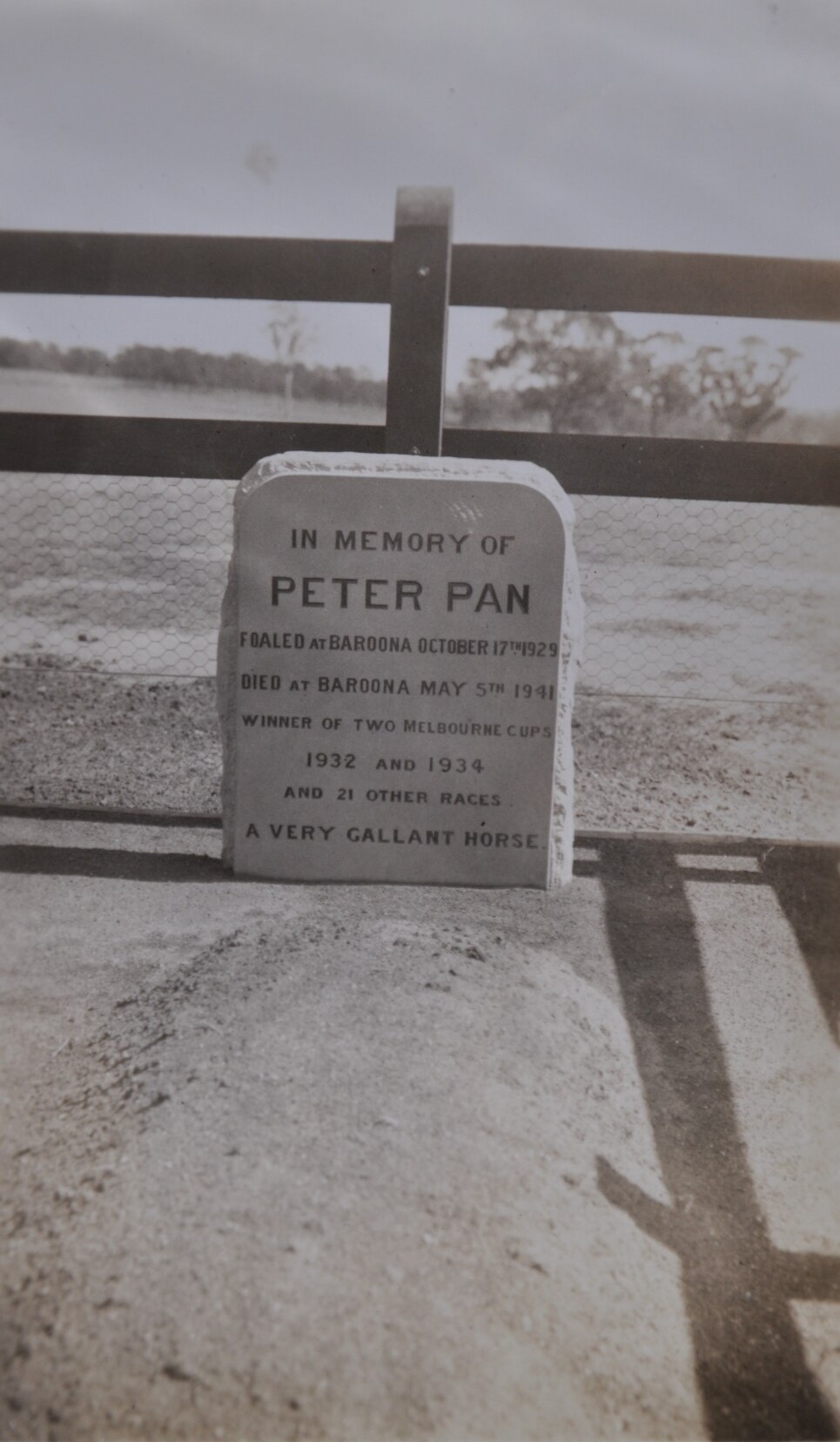 Legendary Melbourne Cup horses gone but not forgotten by NSW Hunter ...