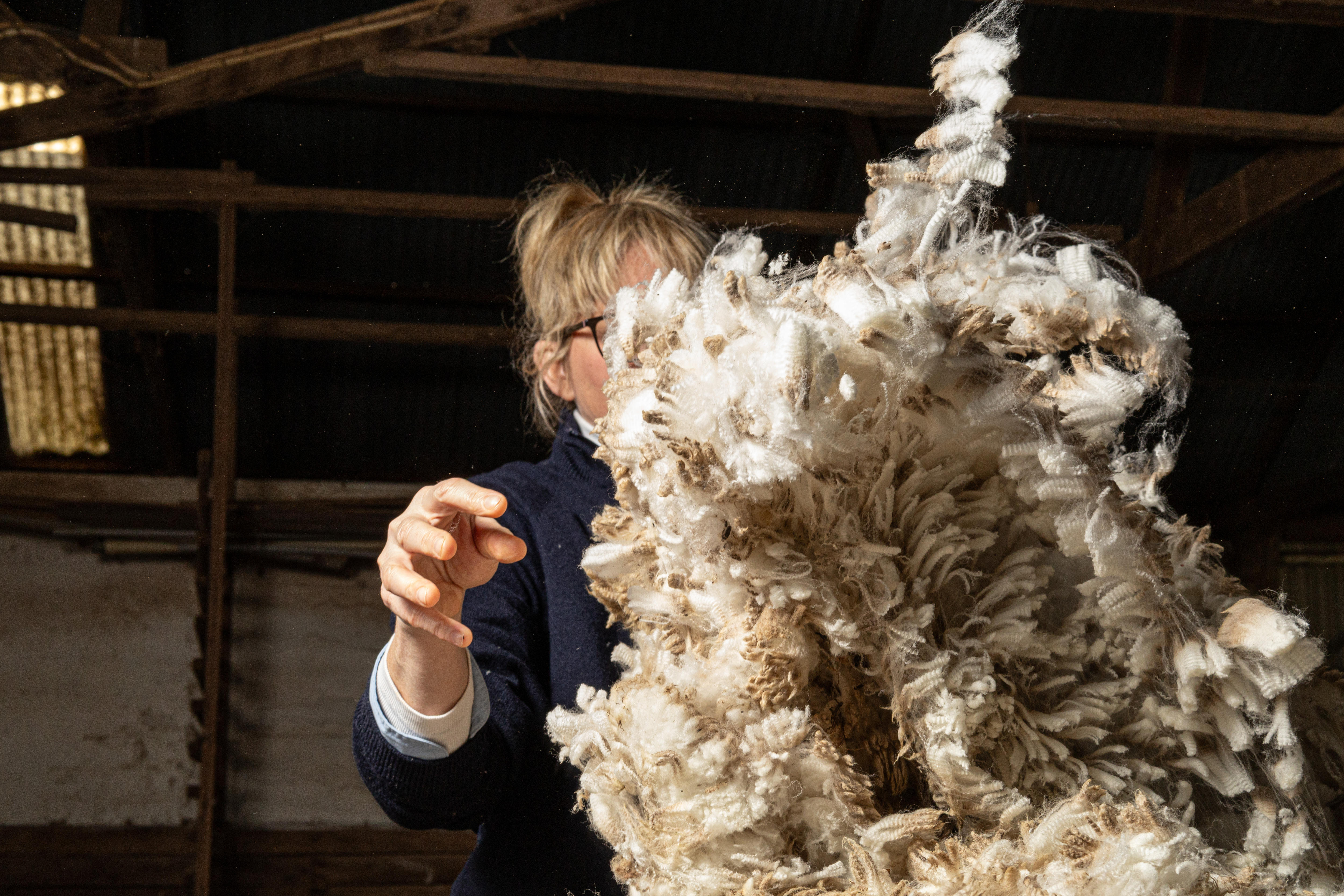 Victorian Country Hour - ABC listen