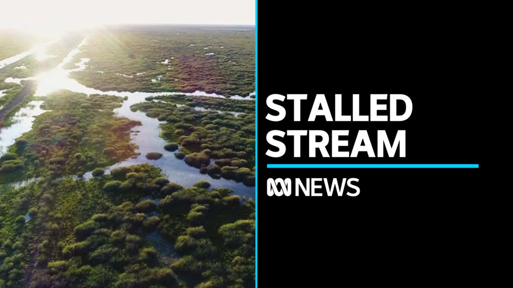 Australian records alarming increase in HIV infections - ABC News