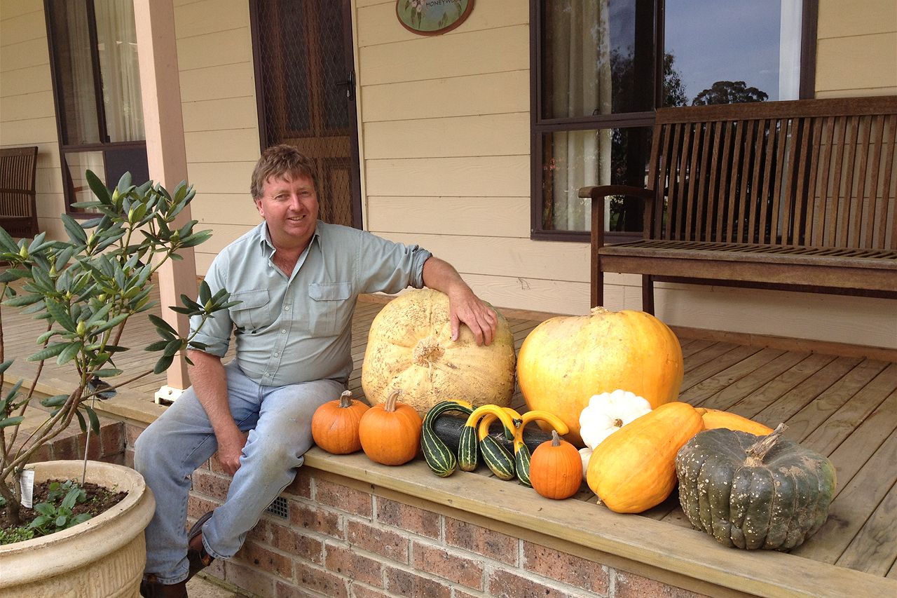 Collector - 2581 - Location - ABC News