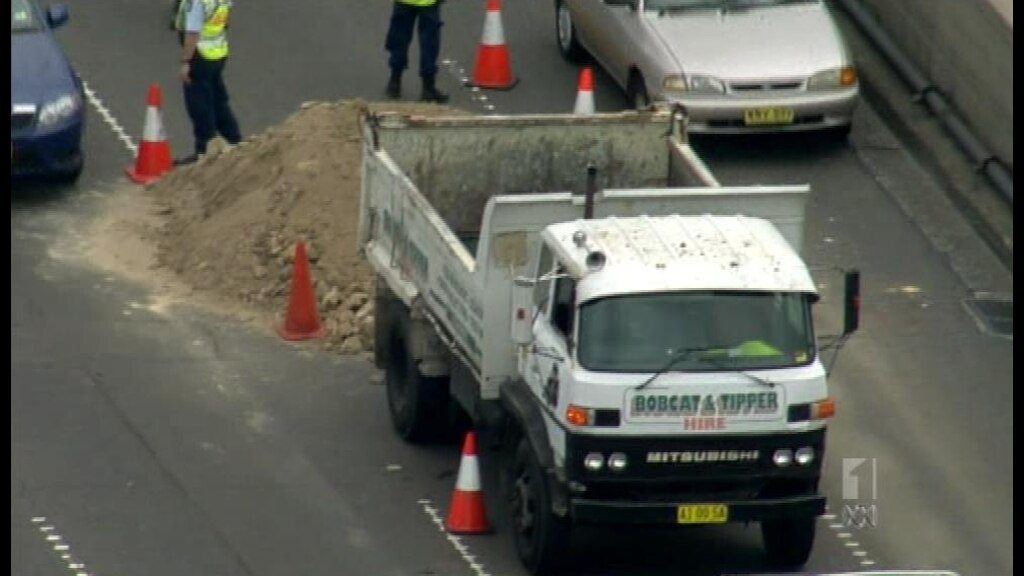 Court fines Sydney soil dump protester - ABC News