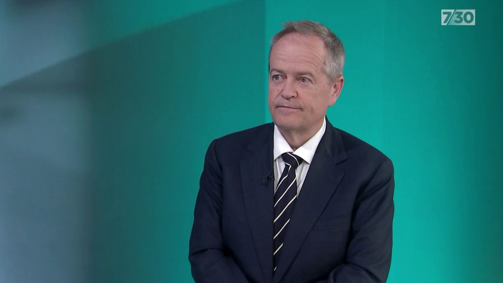 Bill Shorten discusses the review into the NDIS - ABC News