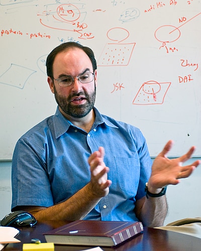 Scientists use spinach to detect chemicals in explosives, send warnings ...