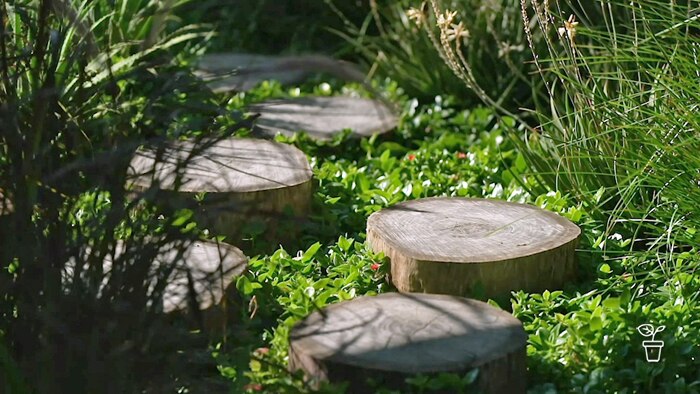 Nurture in Nature - Gardening Australia