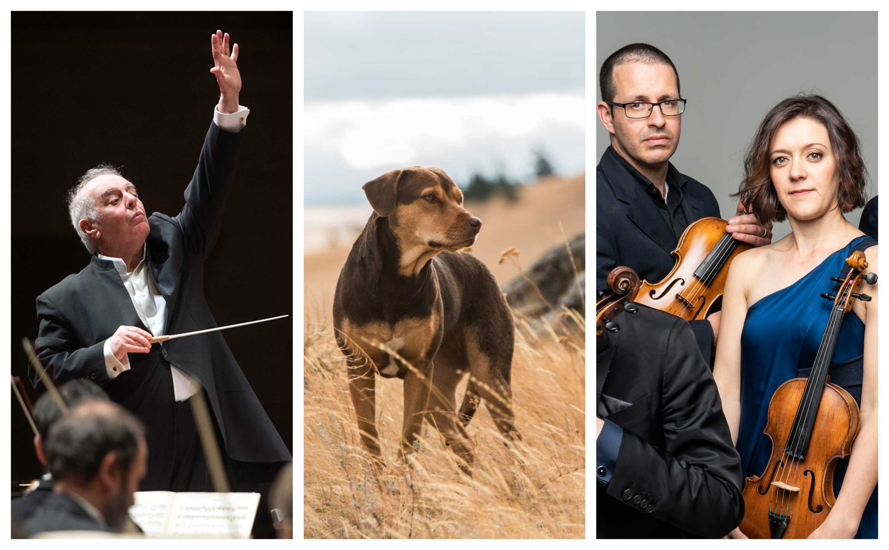 Best new classical albums: Major symphonies, core chamber works, and ...