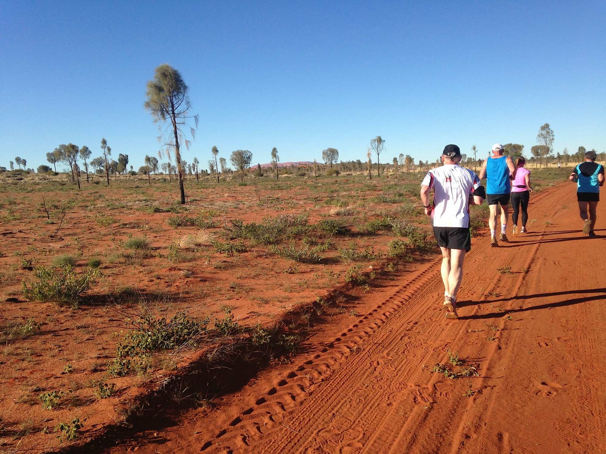 Running a business: Global runners flock to Uluru desert marathon - ABC ...