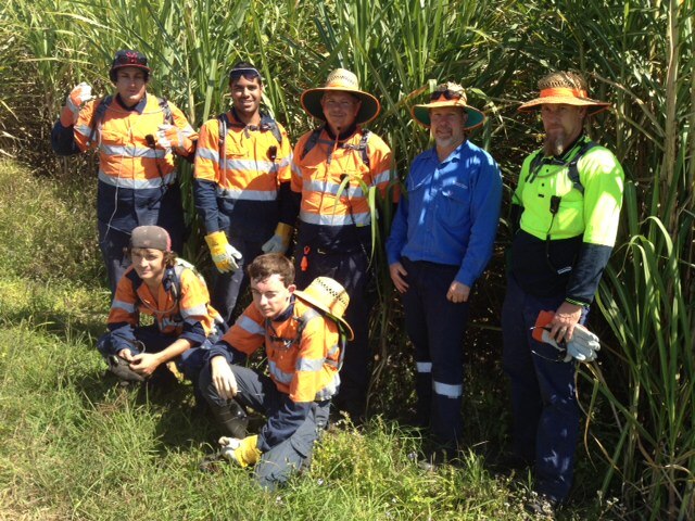 Flood clean-up in cane kicks up a notch - ABC News