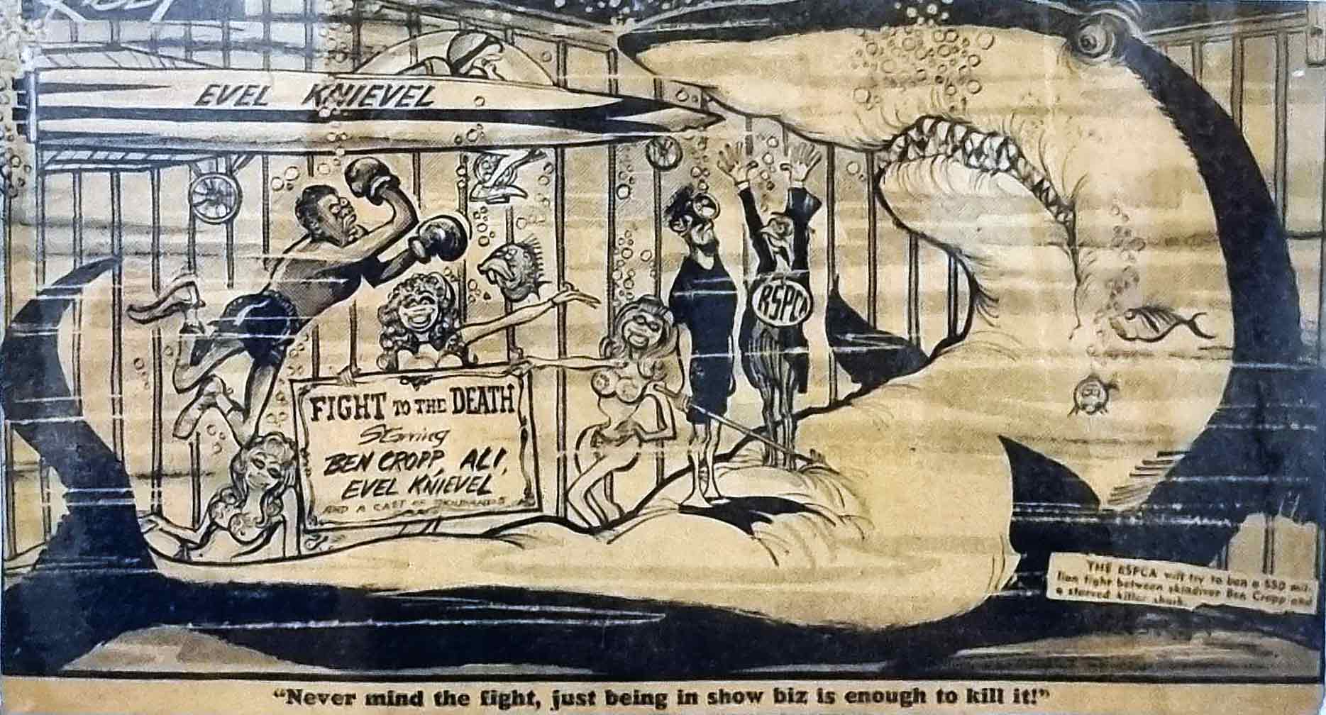 Ride on a 'monster' changed the life of underwater adventurer Ben Cropp ...