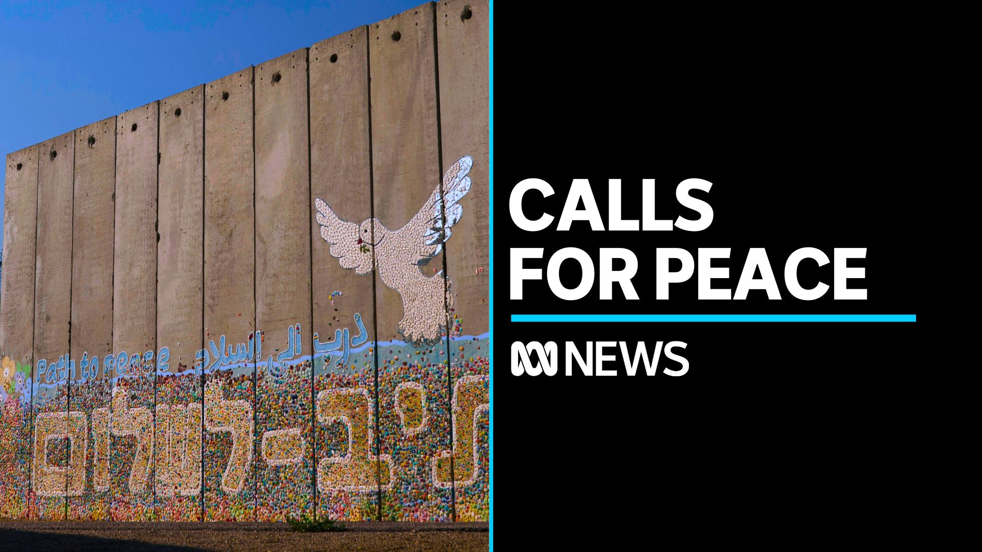 Israeli peace activists call for political reform - ABC News