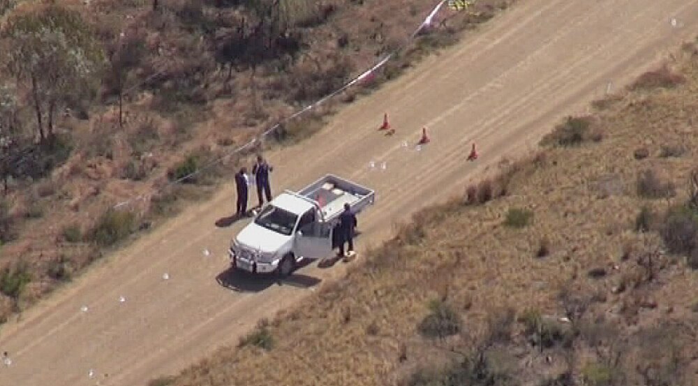 Teenager remanded for alleged double murder - ABC News