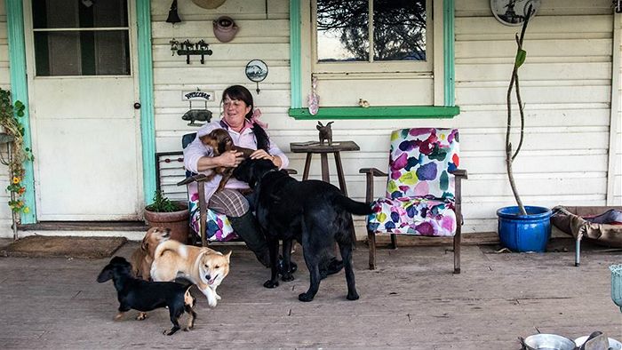 Why do we talk to our dogs? - ABC listen