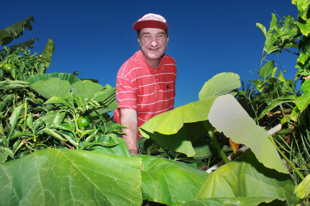 Working in homestead's heritage vegetable garden has range of benefits ...