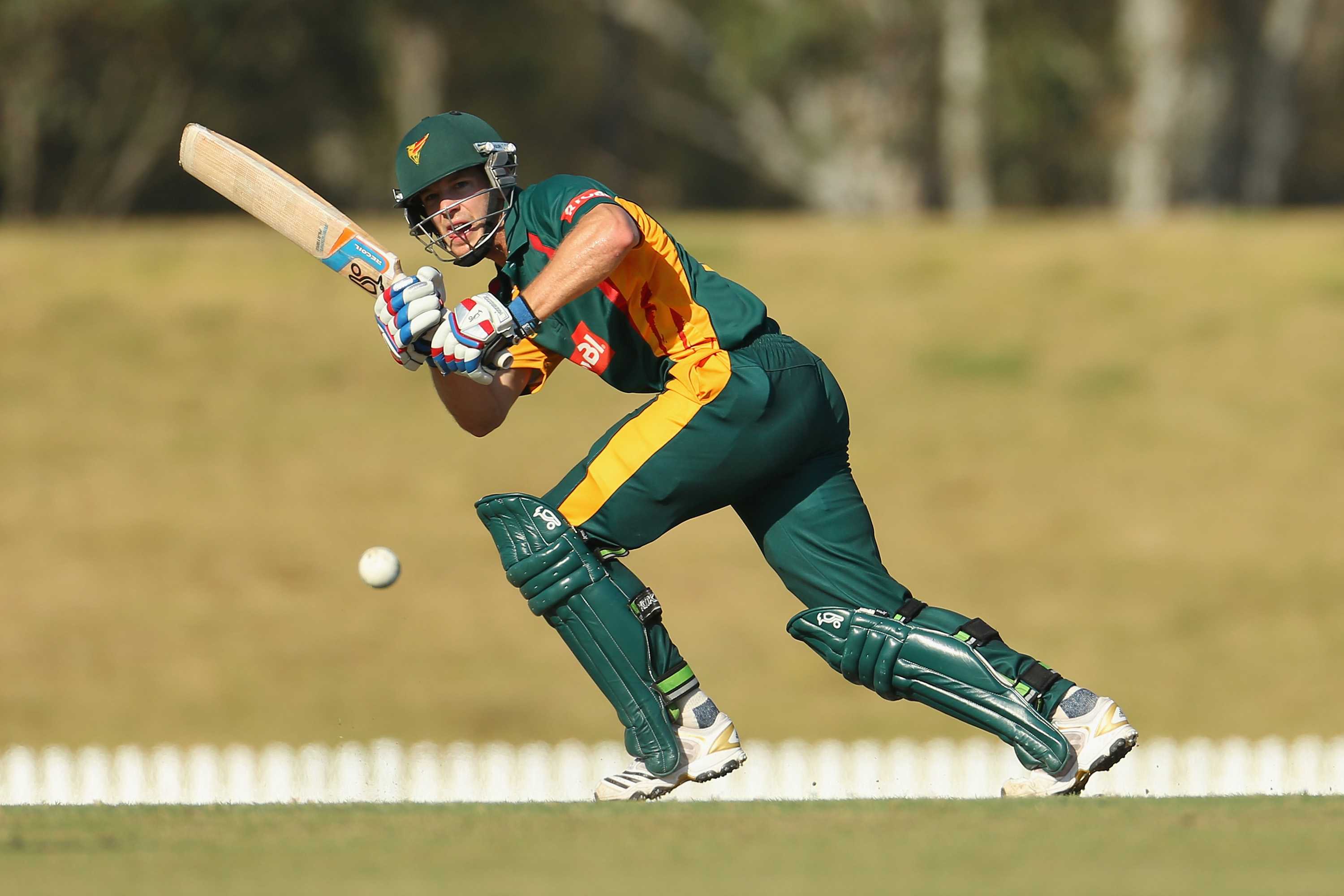 Tim Paine gets John Inverarity backing to challenge Brad Haddin and ...