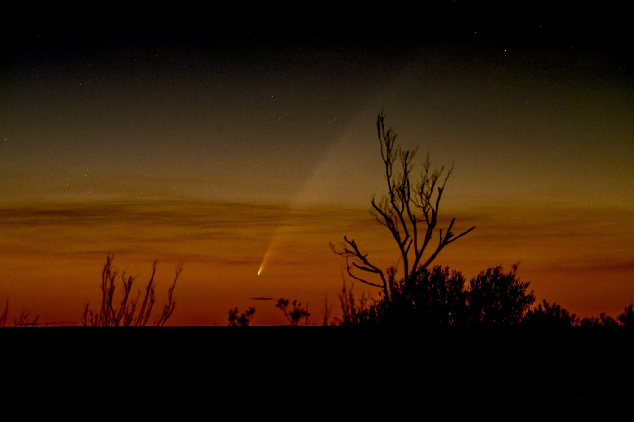 The C/2024 G3 (ATLAS) comet is 'dead', but it's still visible. Here's ...