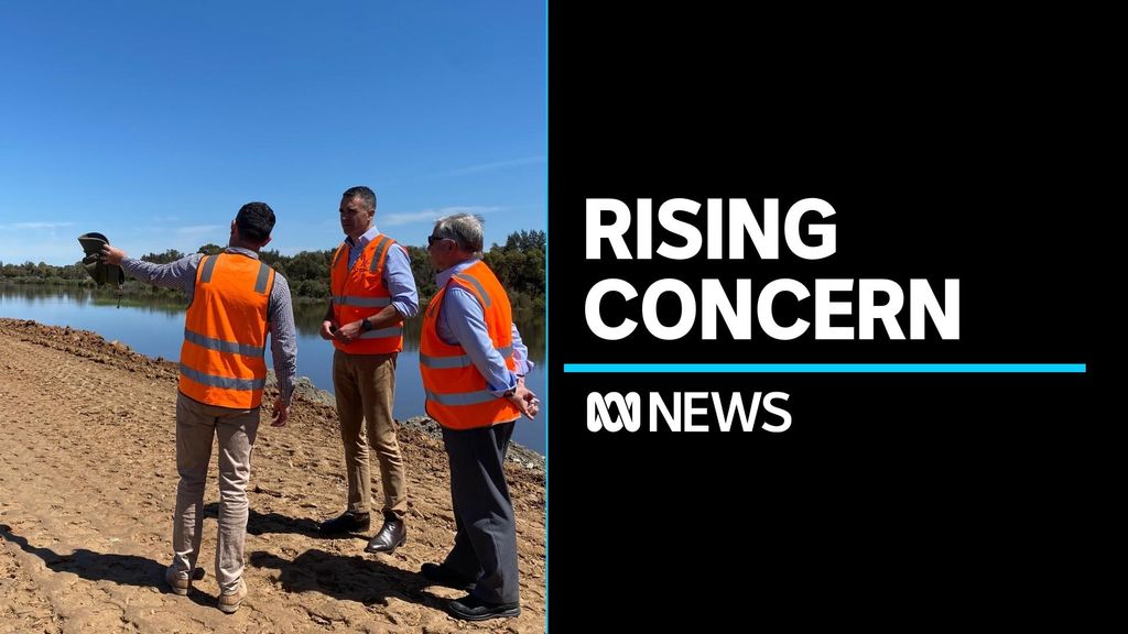 Higher water predicted for longer in SA Riverland region - ABC News
