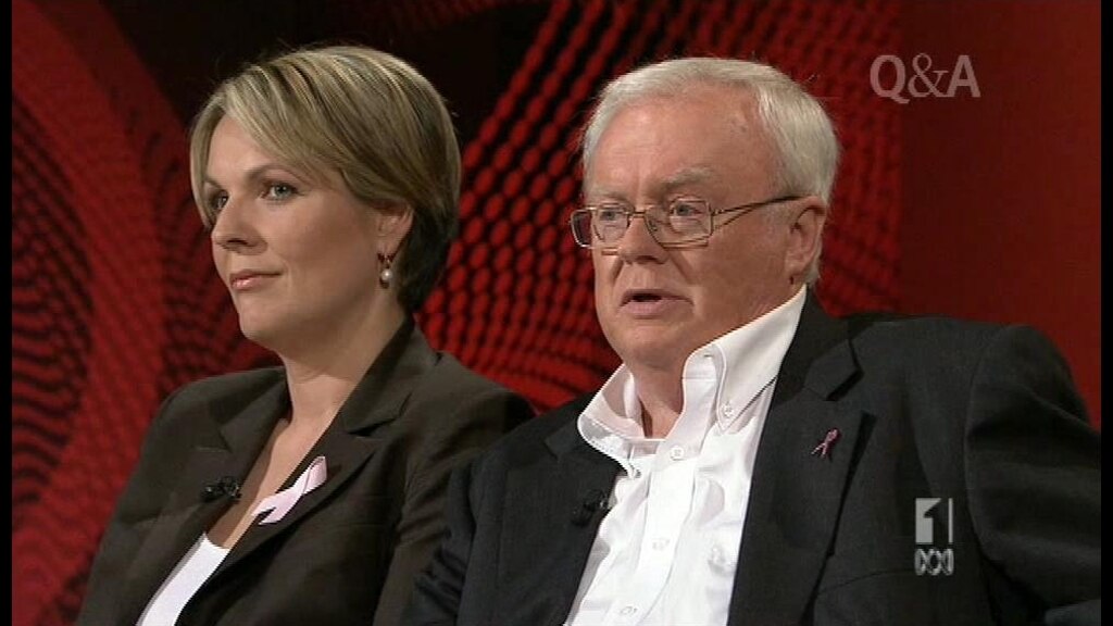 Richardson claims Labor is burying itself - ABC News