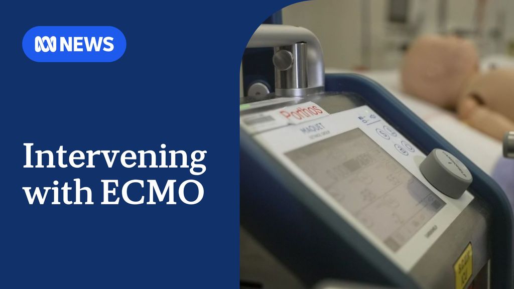 A high-tech ECMO machine is saving lives and giving families a chance ...