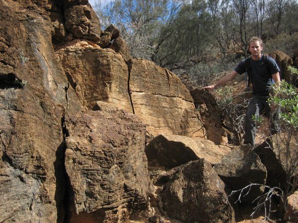 Ancient reef find 'may push back evolution' - ABC News
