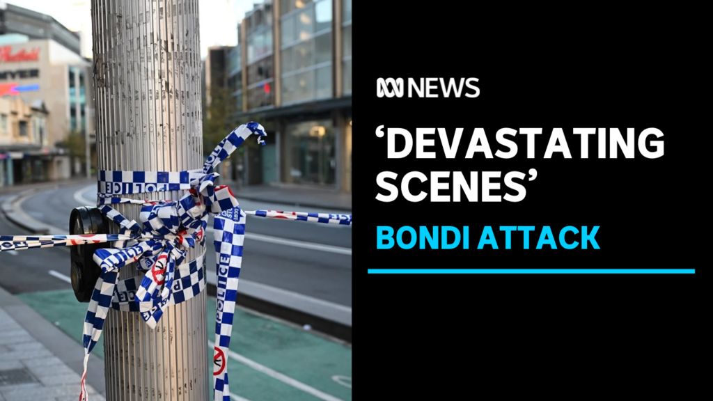 Police say the attacker was 'street checked' on the Gold Coast in 2023 ...