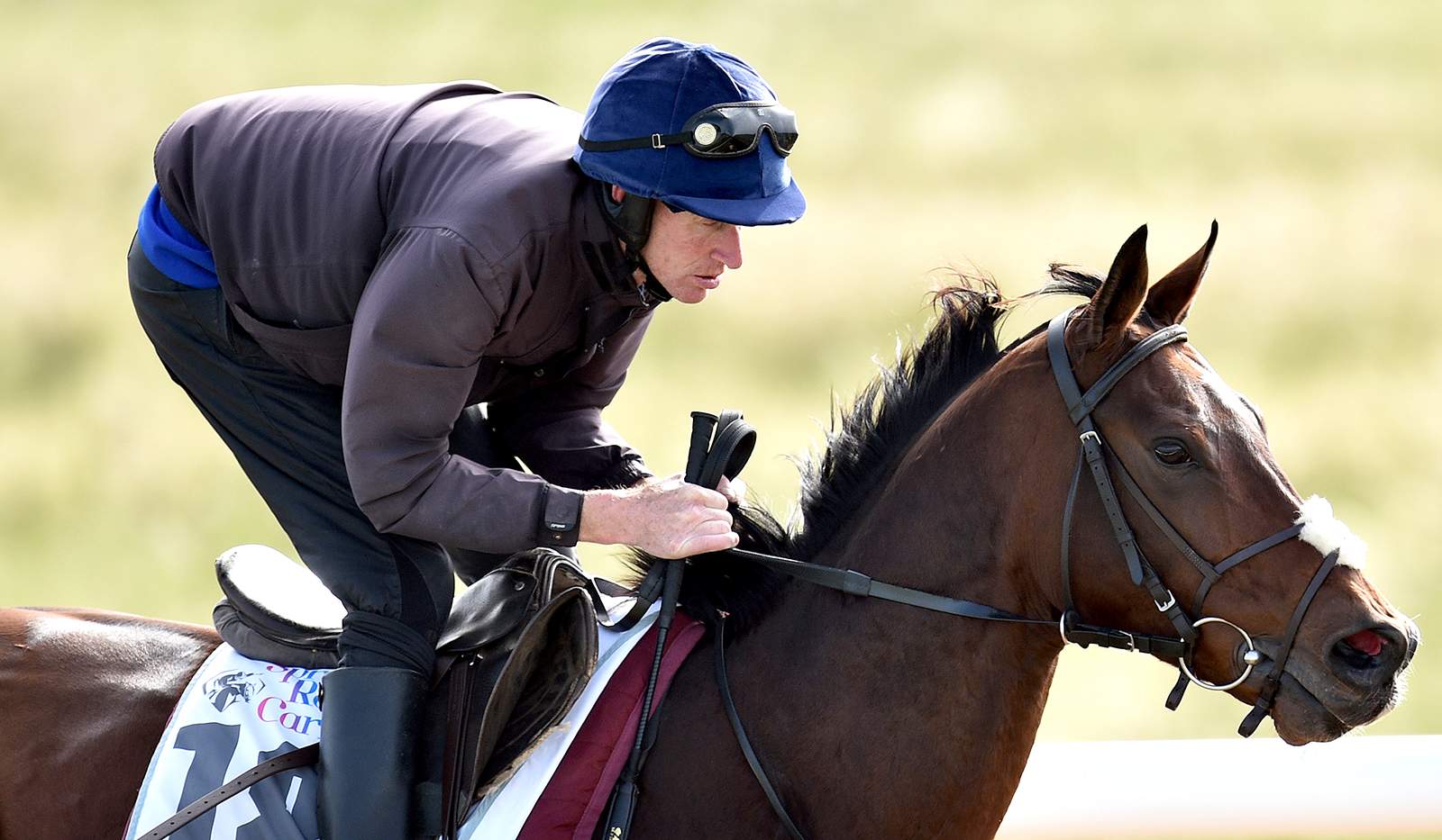 Melbourne Cup: Irish trainer Tony Martin hopes Heartbreak City can win ...