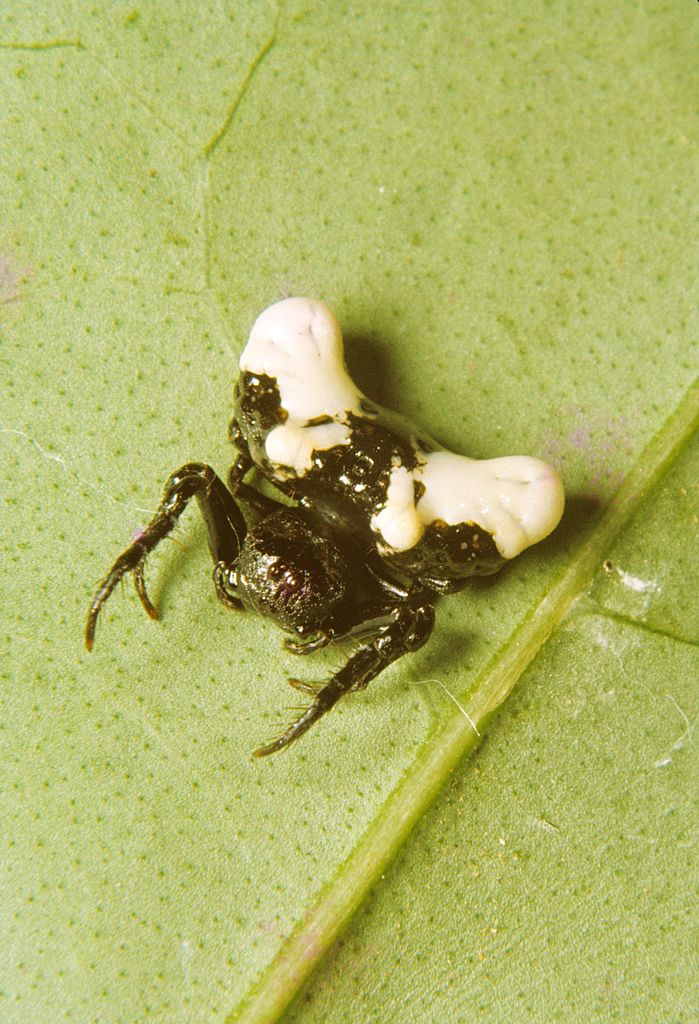 Failing and laughing and breaking..it's all good - ABC listen