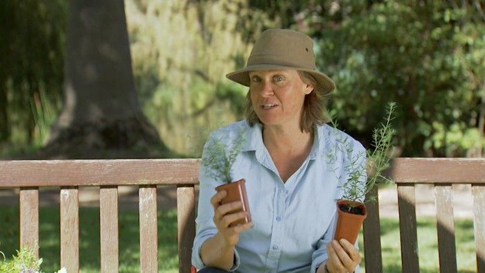 My Garden Path - Adam Shipp - Gardening Australia